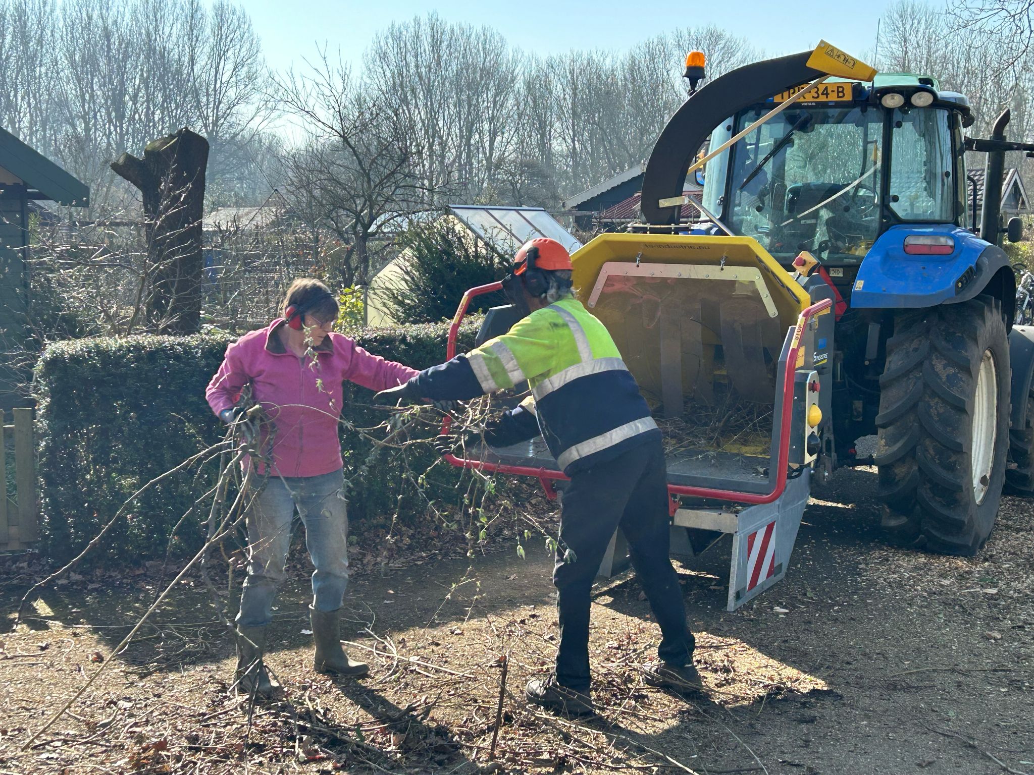 Snipperen snoeihout 2025 - volkstuindersvereniging Ridderspoor Alphen ...